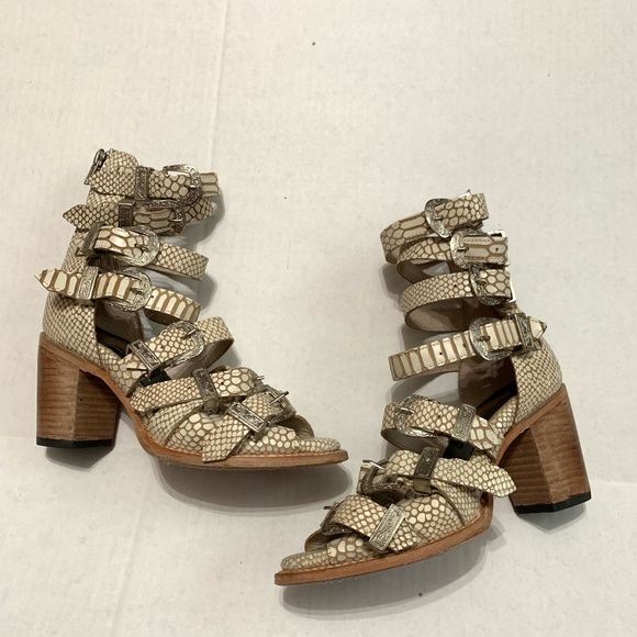Freebird by Steven | Shoes | Freebird By Steven White Snake Brooklyn Buckle Gladiator Sandals Sz ...